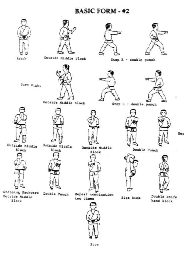 The Sports Archives – Martial Arts: Competitive and Aesthetic | The ...